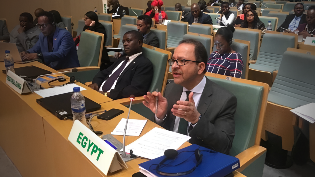 Egypt’s Ambassador reflects on ‘the miserable state of the state during ...