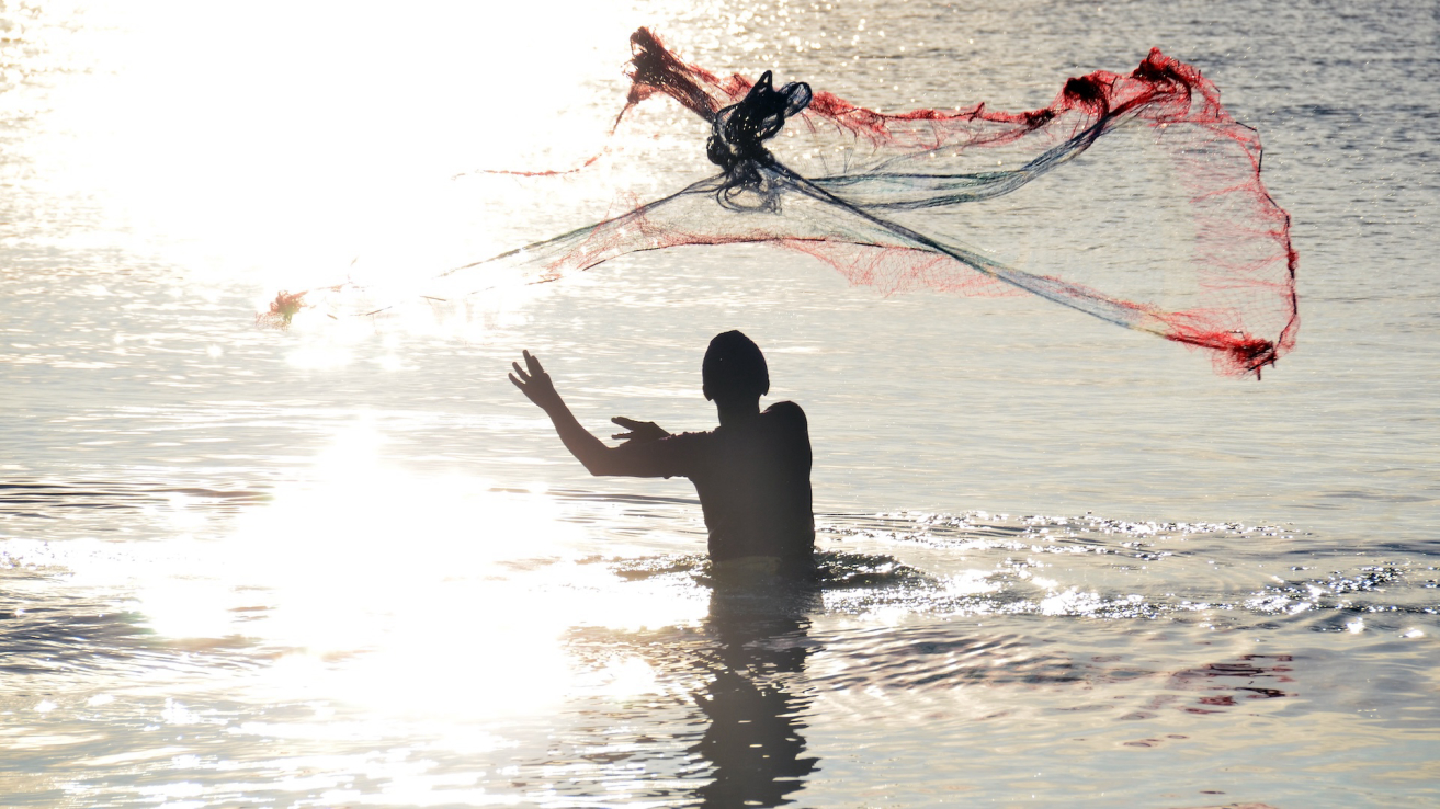 The Great Blue Wall and youth inclusion in Africa’s blue economy | ISS ...