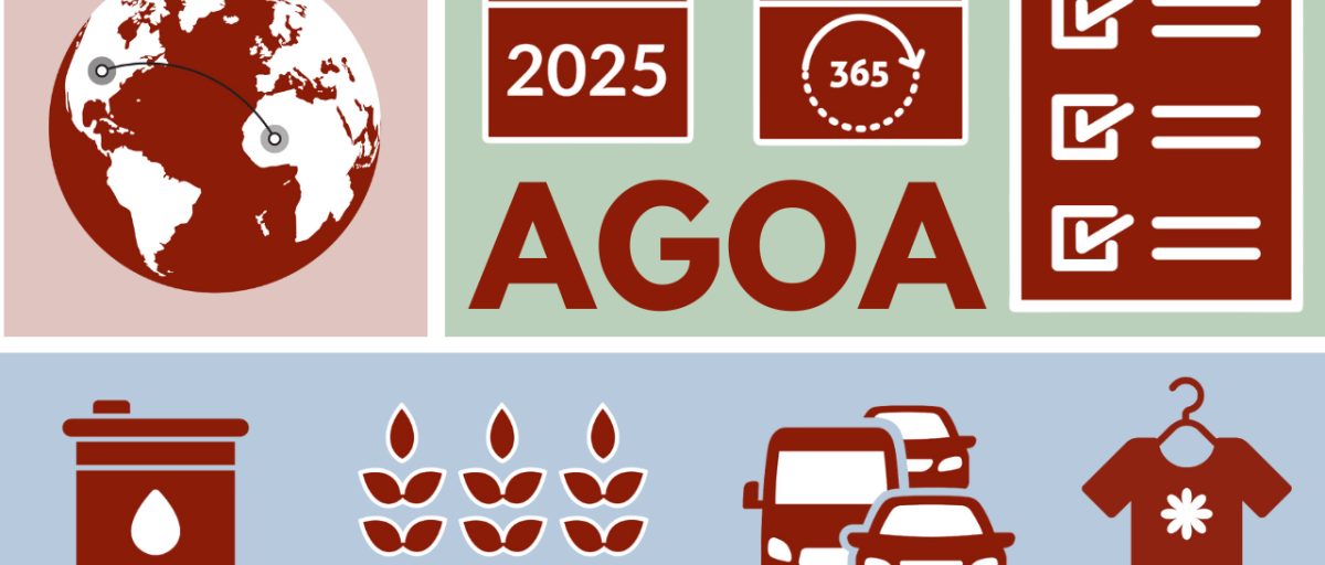 Explainer: What is AGOA? | ISS Africa