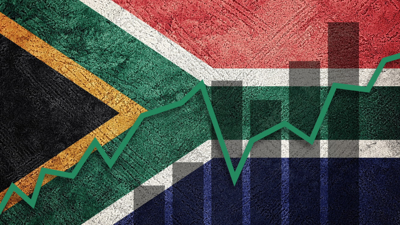 Can the GNU deliver? Shaping South Africa's economic and development ...