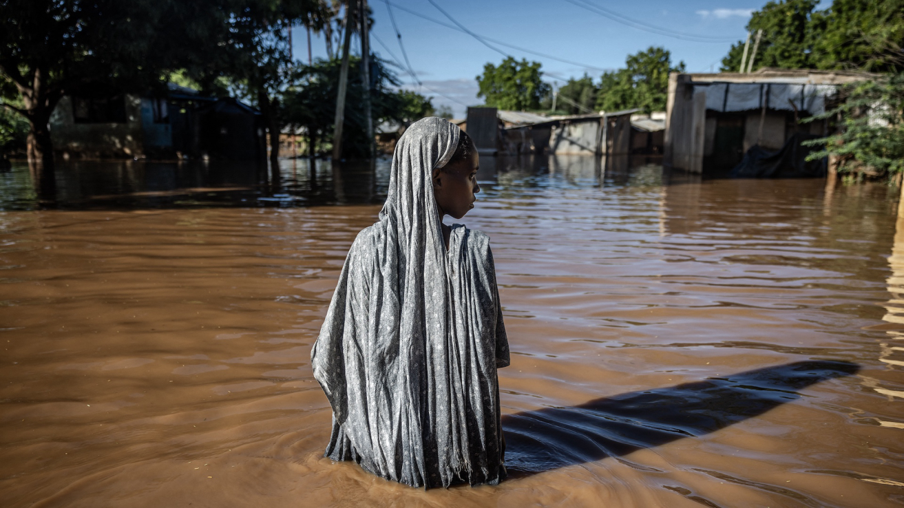 COP29 : les pertes et dommages attendent toujours des décisions | ISS ...