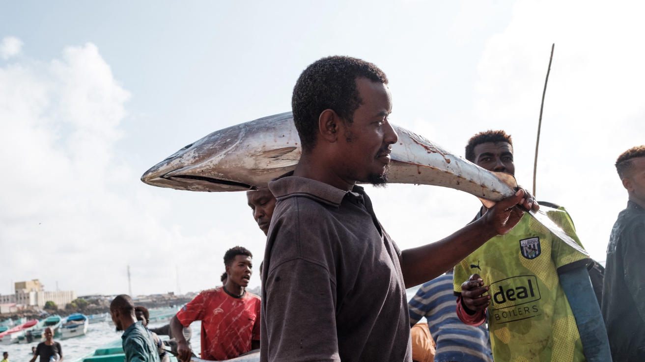 Local and global cost of illegal tuna fishing off Somalia’s coast | ISS ...