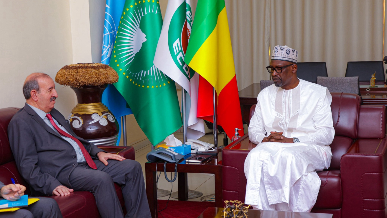 Algeria-Mali tensions demand swift attention | PSC Report
