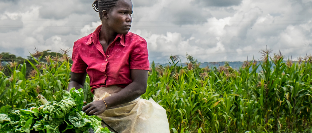Improving human security in Africa: ISS Annual Review 2024 | ISS Africa