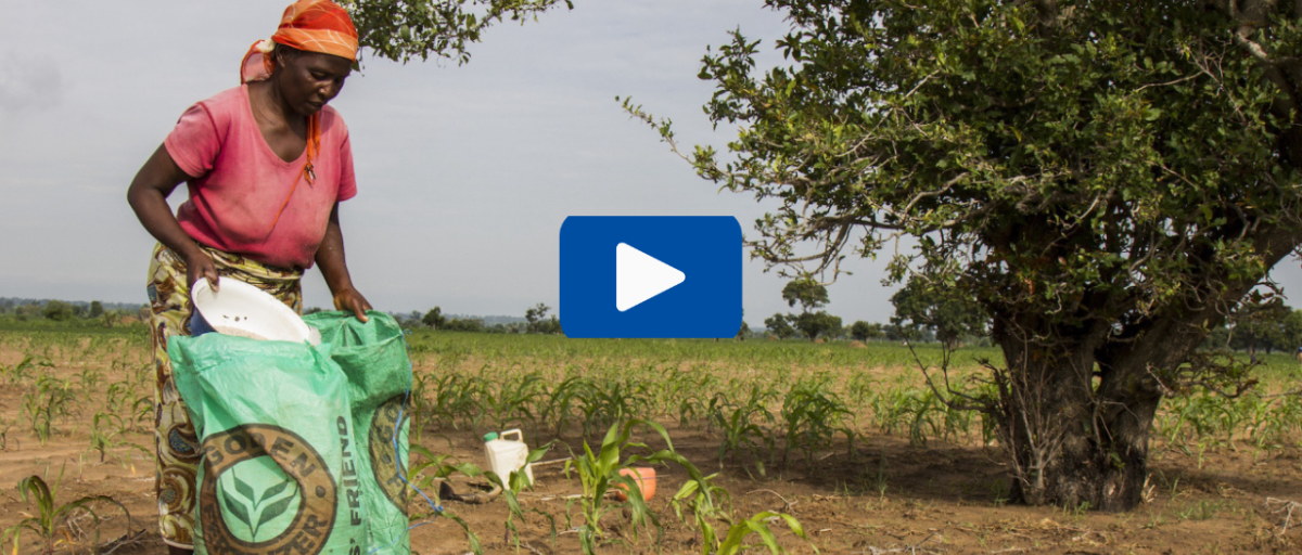 ISS Clips: ISWAP intensifies its extortion of communities in Lake Chad ...