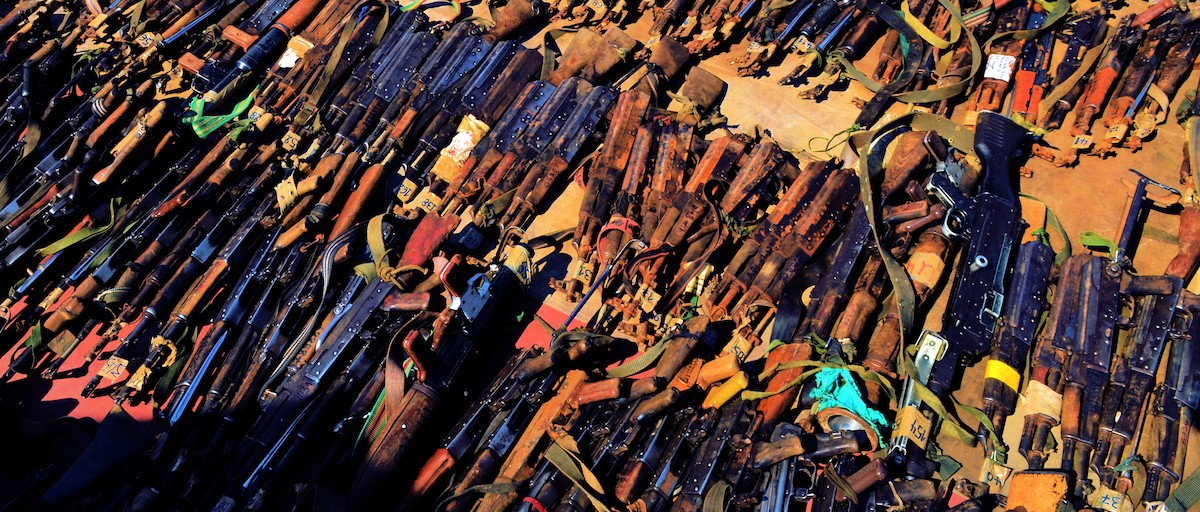 View on Africa: poaching and illicit arms – a lethal mix | ISS Africa