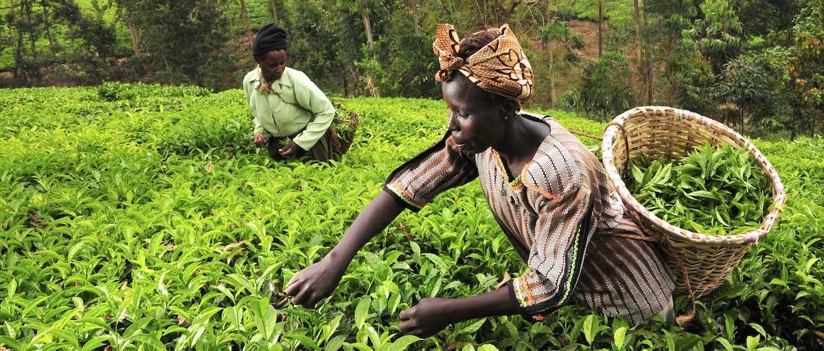 Africa’s future: seven key trends | ISS Africa