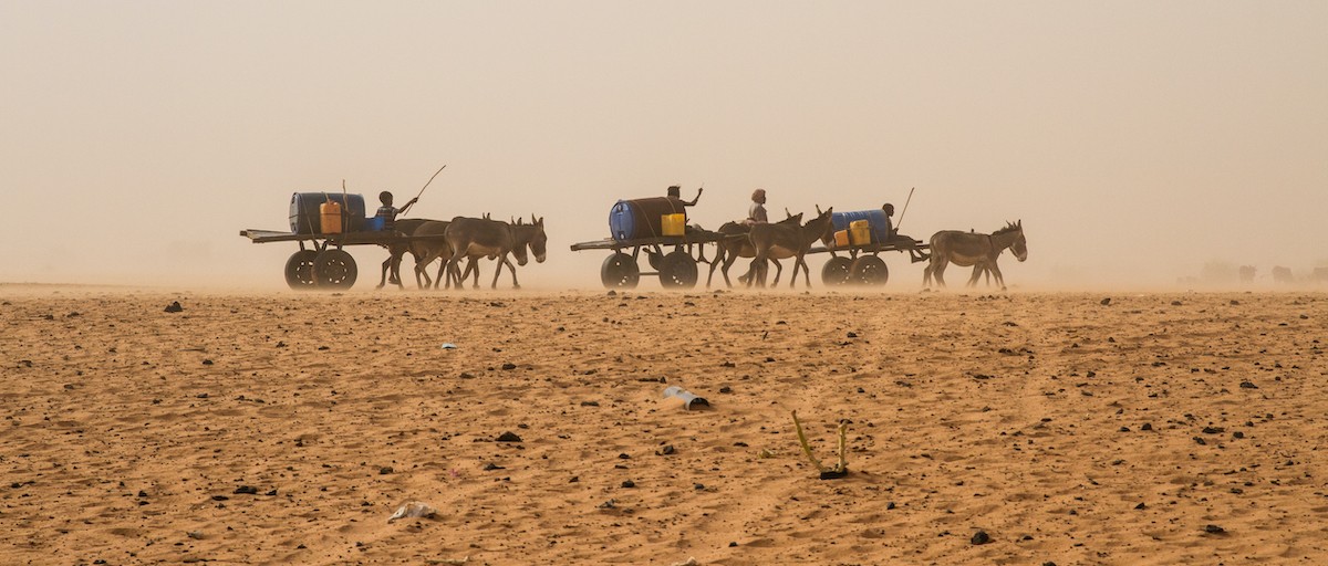 African cities must prepare for climate migration | ISS Africa