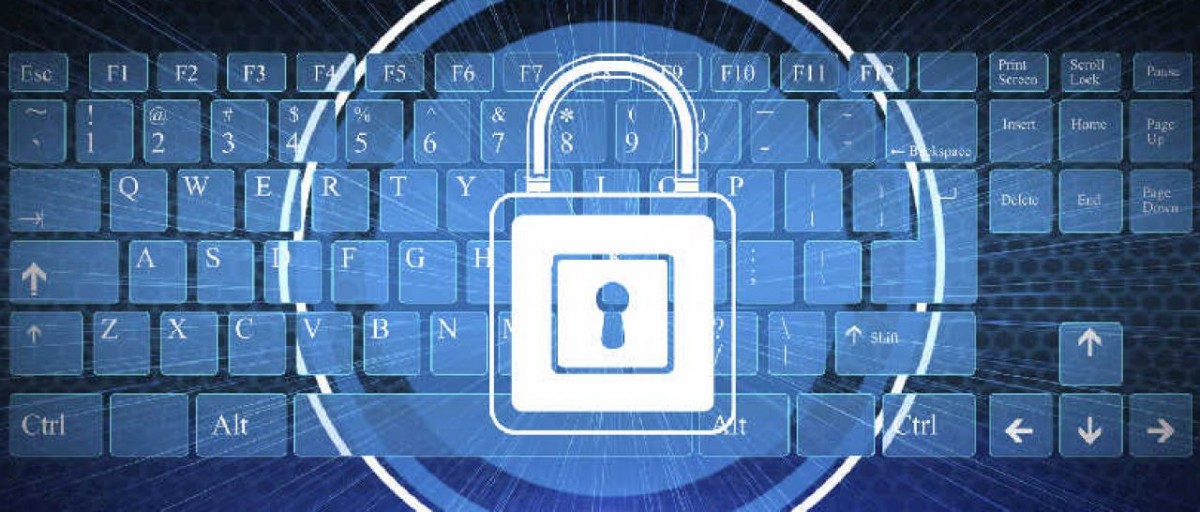 Balancing basic freedoms and the need to fight cybercrime | PSC Report