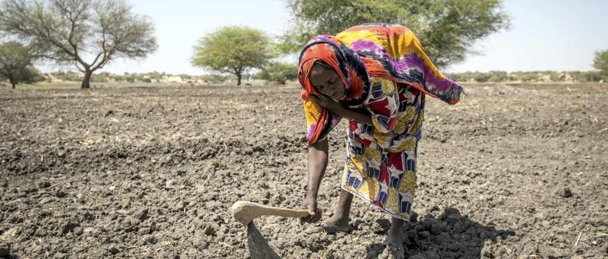 Hunger grips Lake Chad Basin in the face of terrorism | ISS Africa