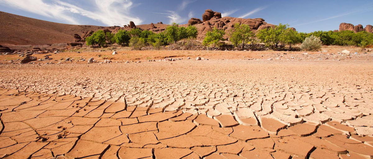 Africa’s climate and development future after COP27 | ISS Africa