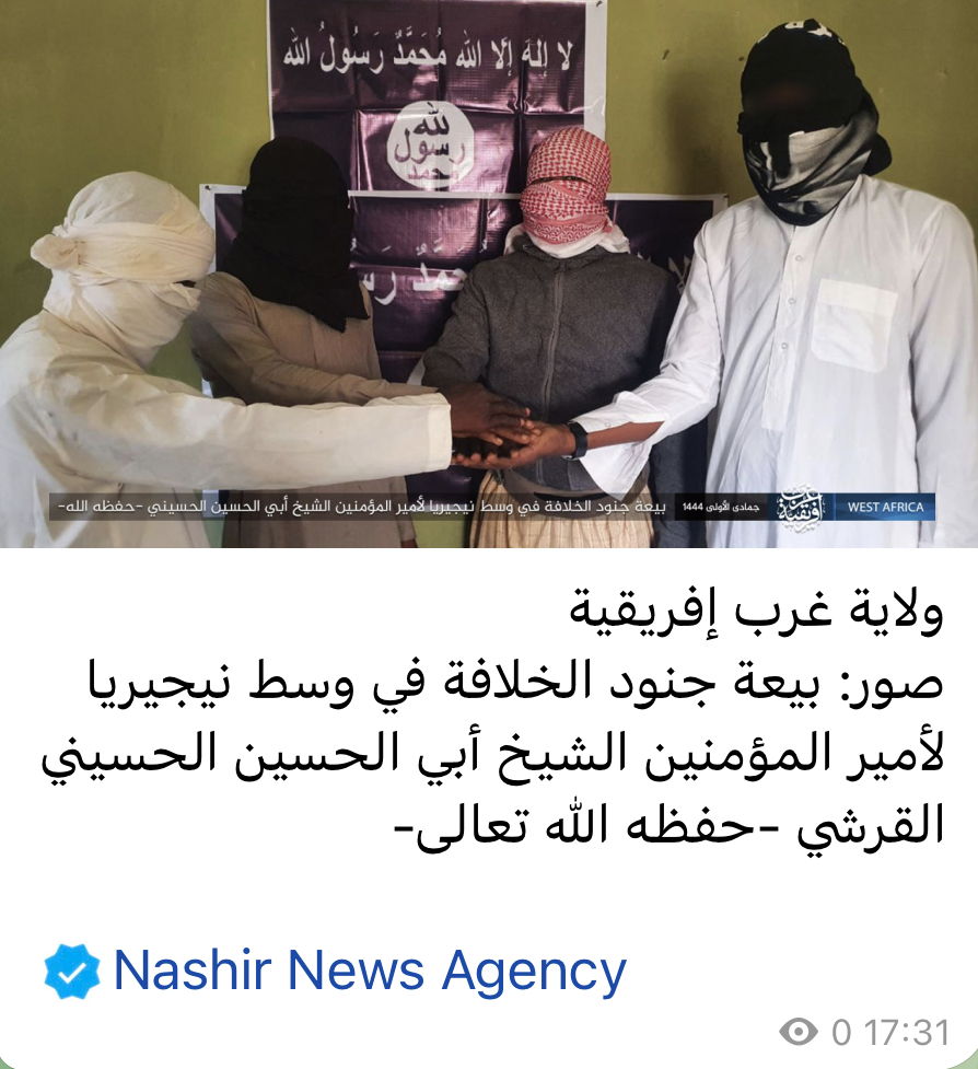 ISWAP’s use of tech could prolong Lake Chad Basin violence | ISS Africa